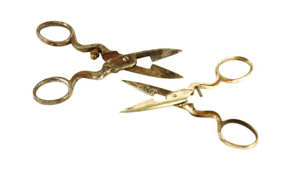 11 Types of Scissors for Sewing (and When You Would Use Them) - Measure ...